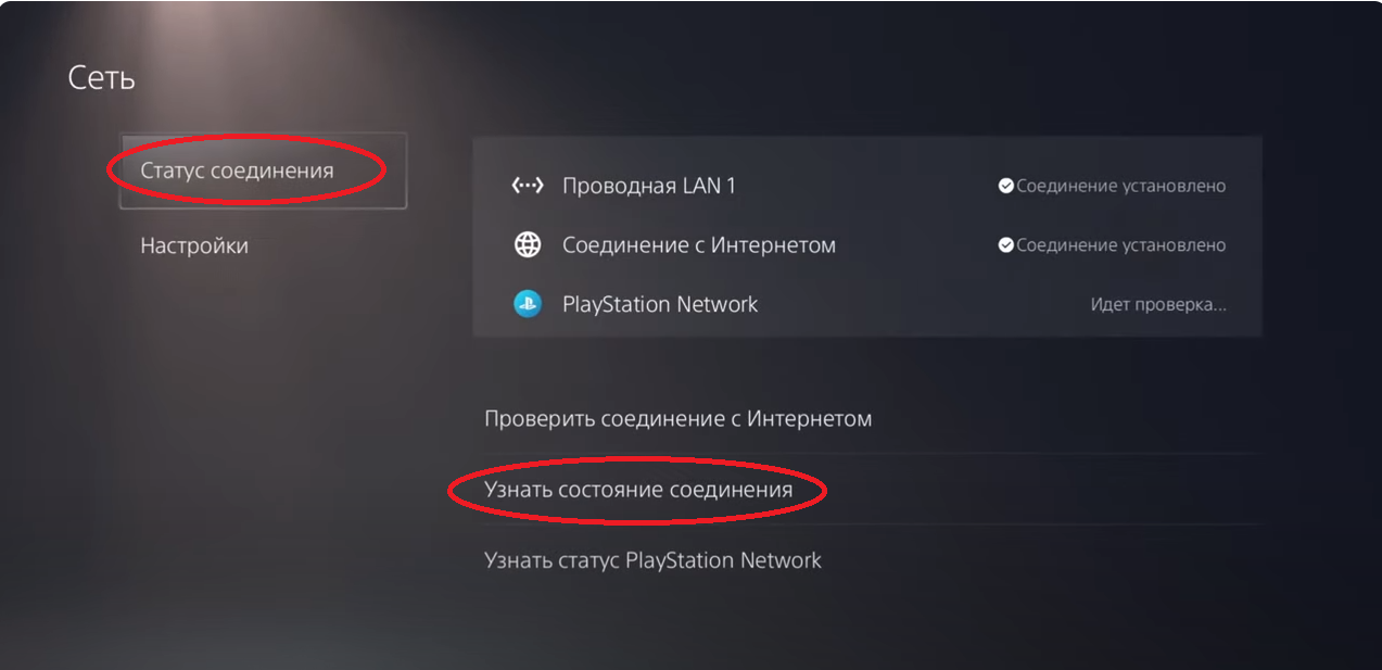 Снимаем ограничение онлайна в Mortal Kombat 1 / Игры / iXBT Live