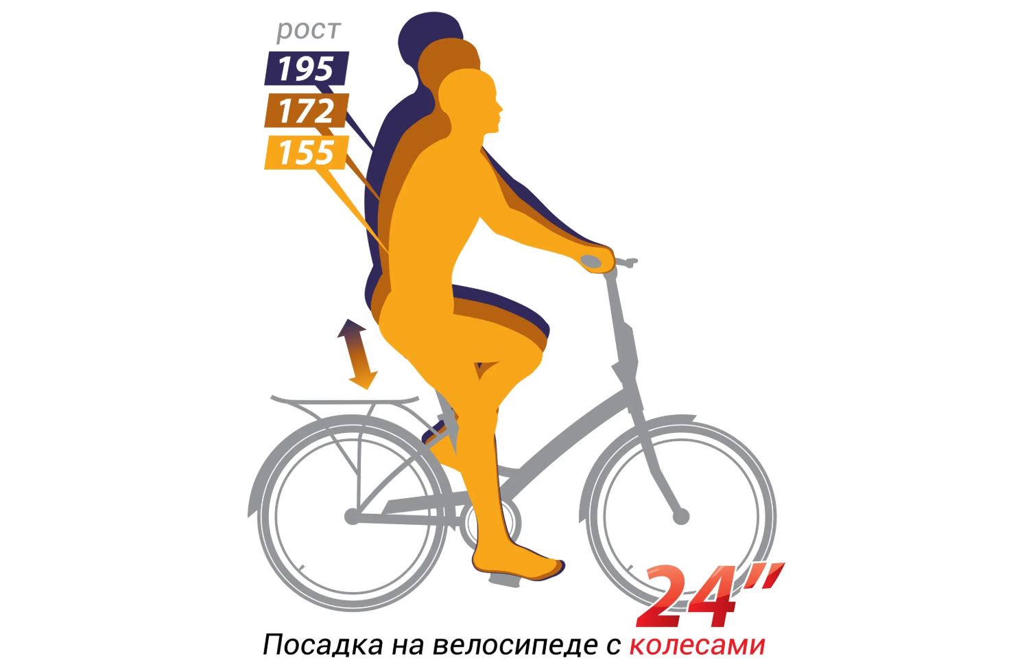 Изучил складные электровелосипеды Shulz: стоит ли покупать E-Easy Fat и E-Krabi? / Авто и ...