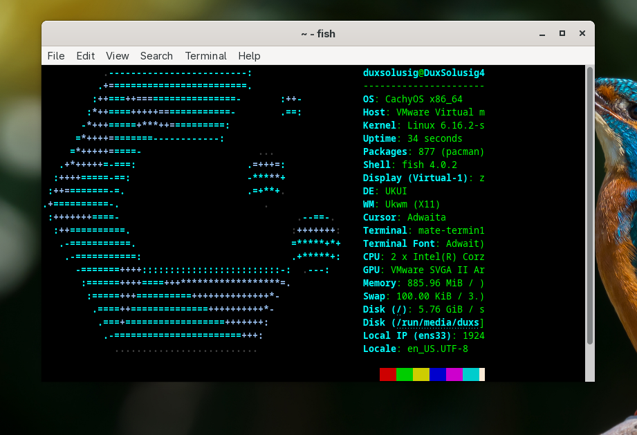 Обзор CachyOS - новый взгляд на Arch Linux без сложностей / ИИ, сервисы и приложения / iXBT Live