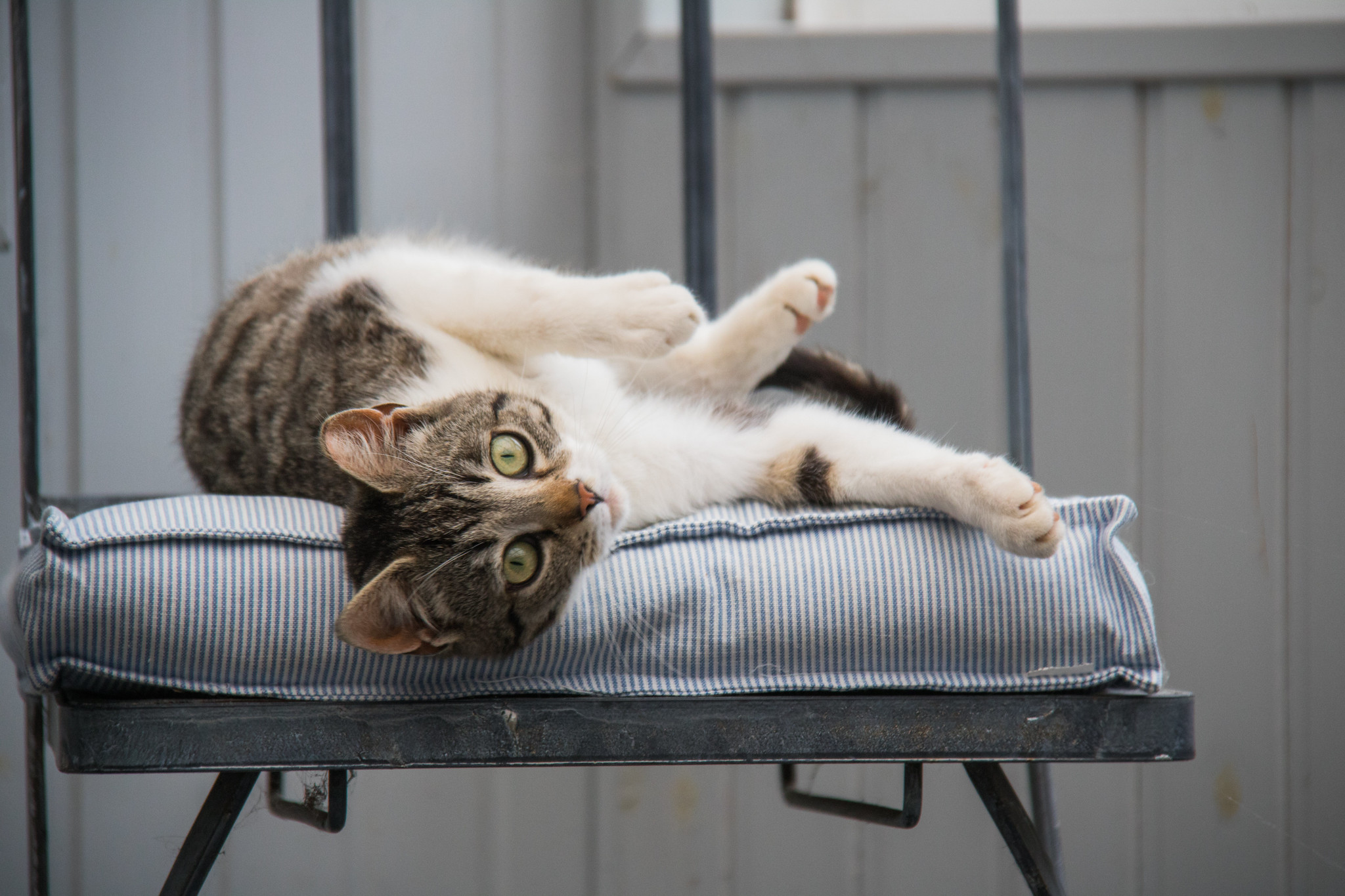 Интересные обновления на iXBT.live: появились новые блоги, стало больше ...