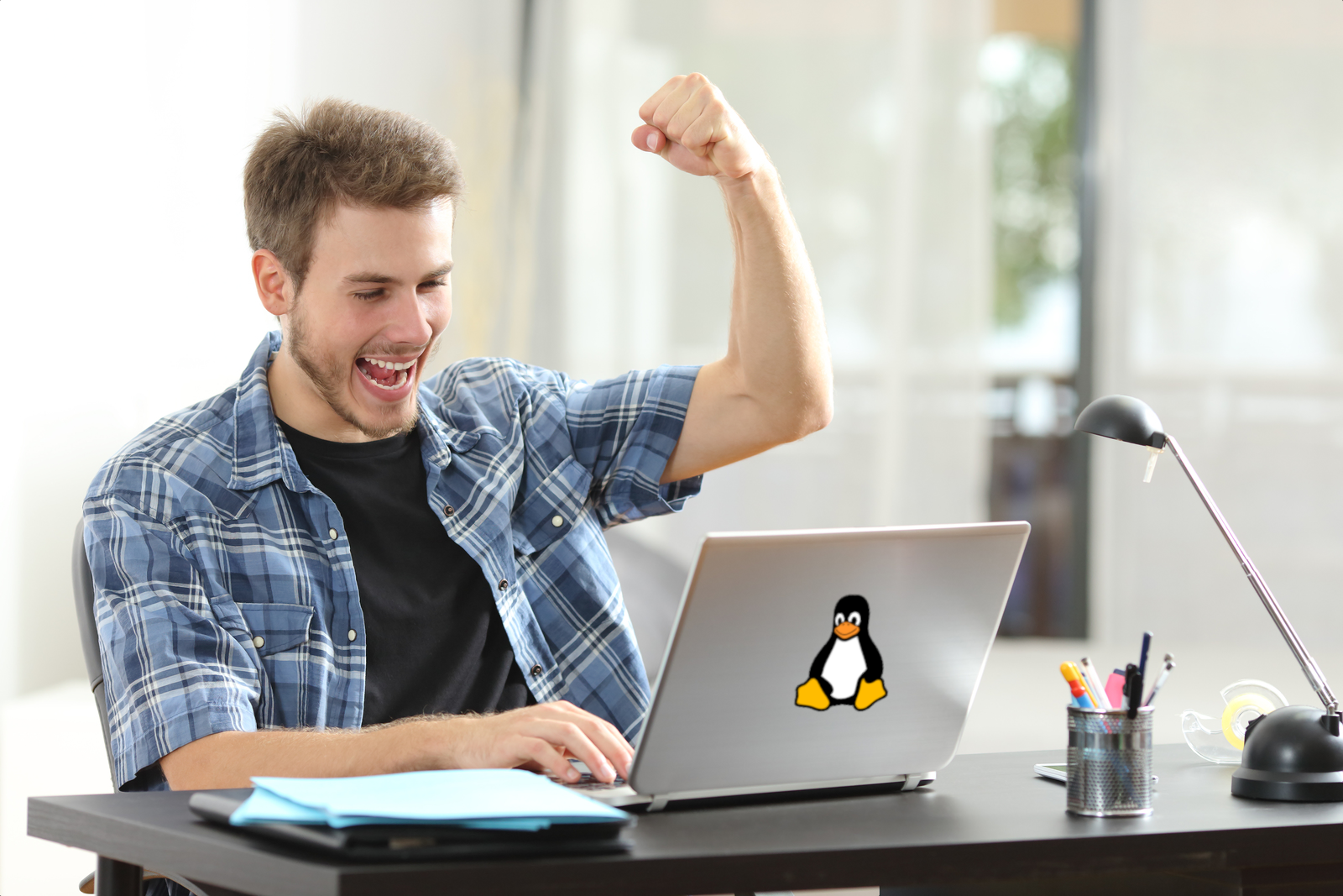 Уверенный рост Linux-пользователей продолжается / Платформа ПК / iXBT Live